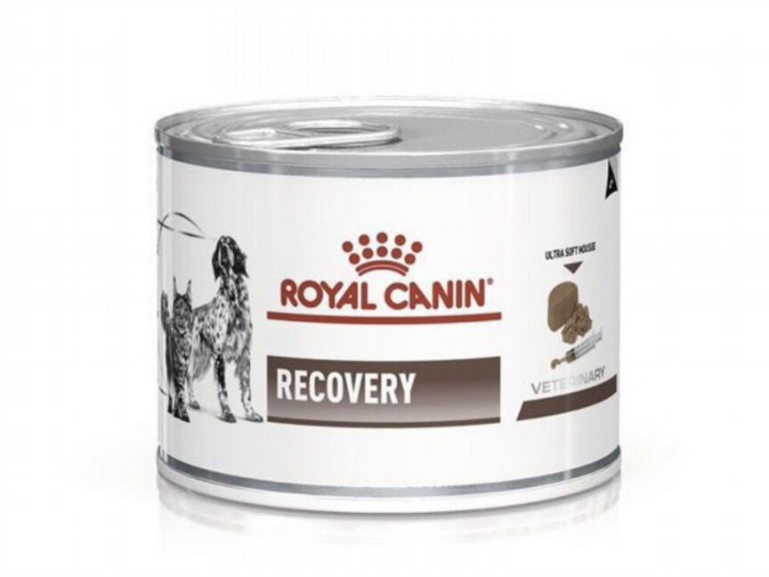 Royal Canin Recovery