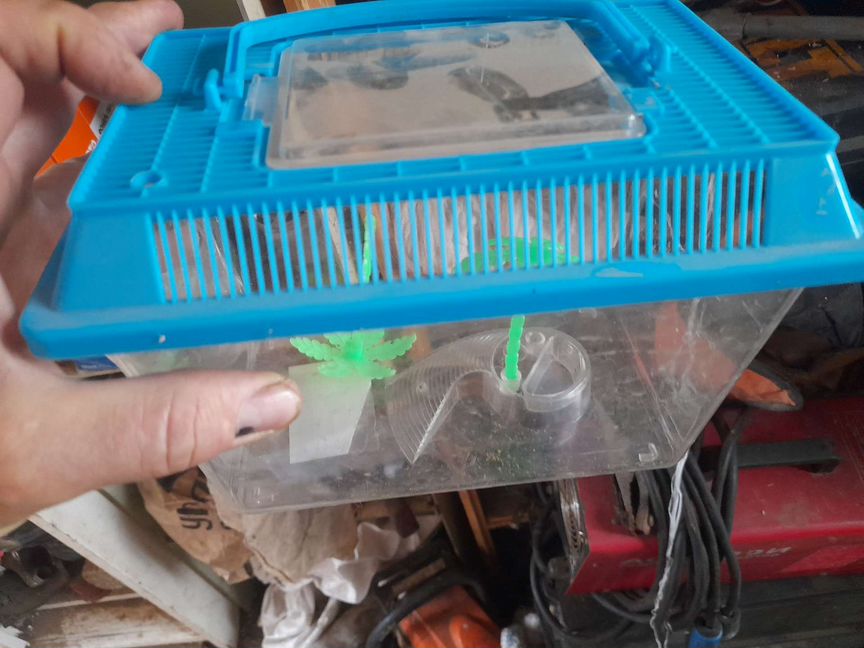 Террариум переноска