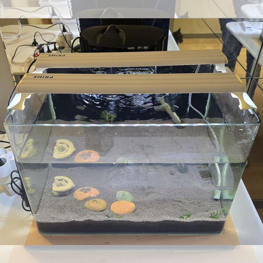 Аквариум 40 литров со всем необходимым