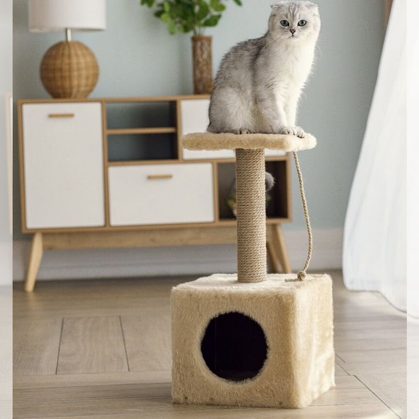 Домик для кошки с когтеточкой новый