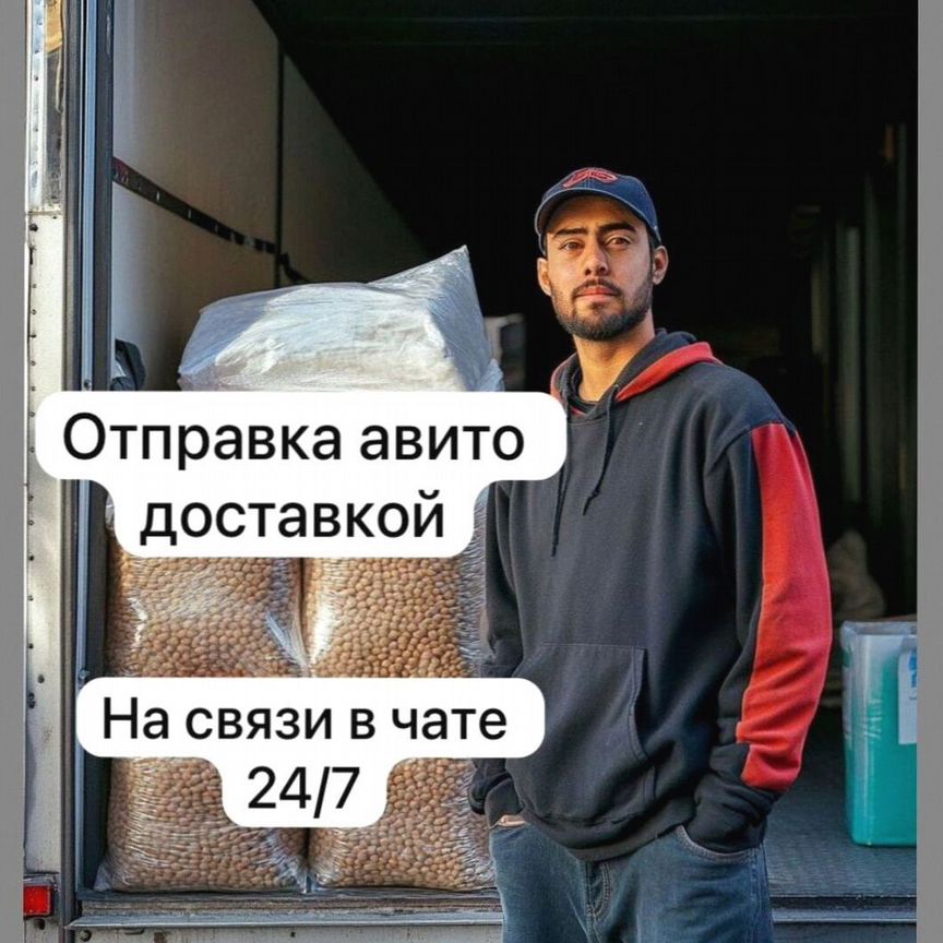 Корм для собак