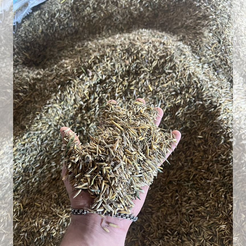 Зерноотходы овса