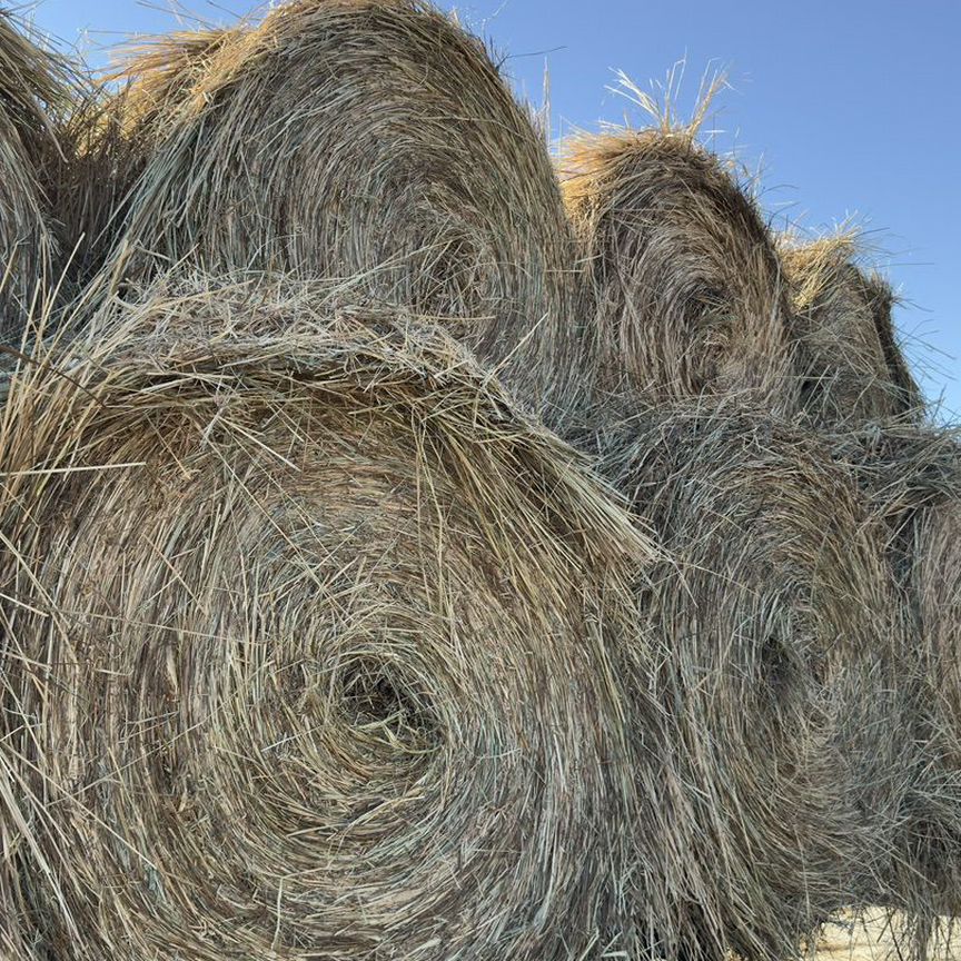 Сено в рулонах и тюках
