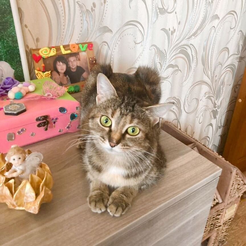 Зеленоглазая малышка, Масяня