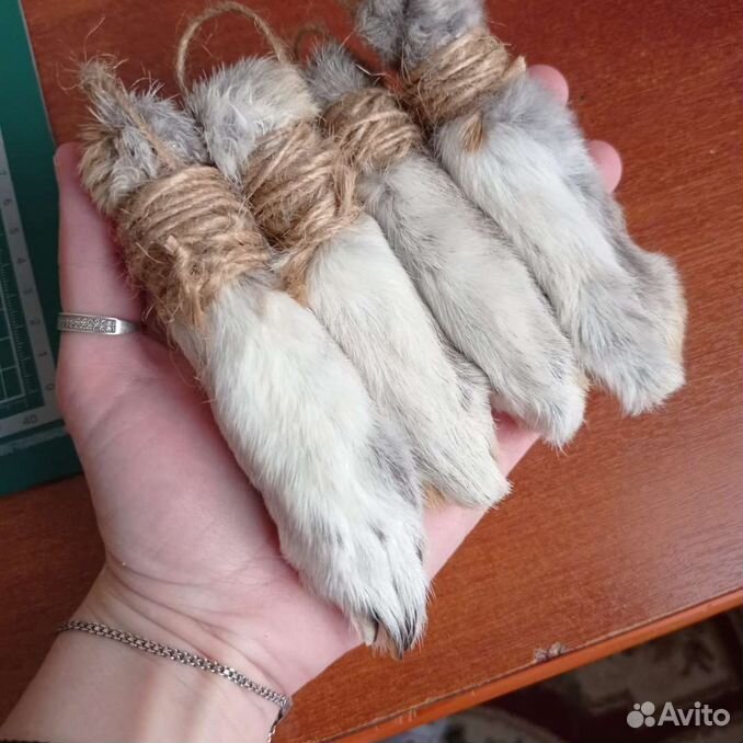 Кроличьи лапки