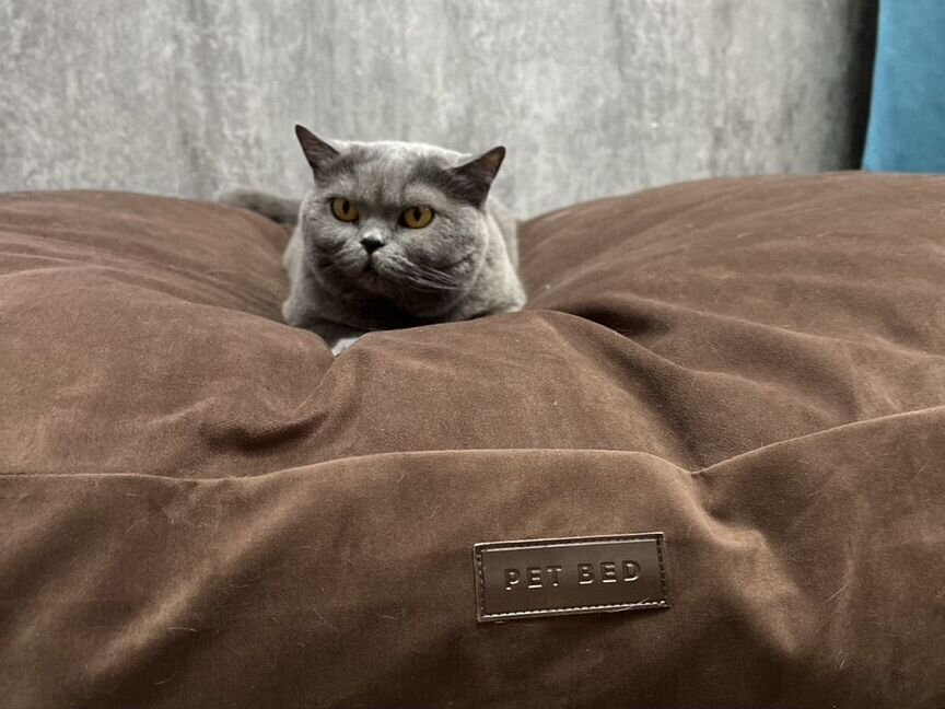 Собачья лежанка