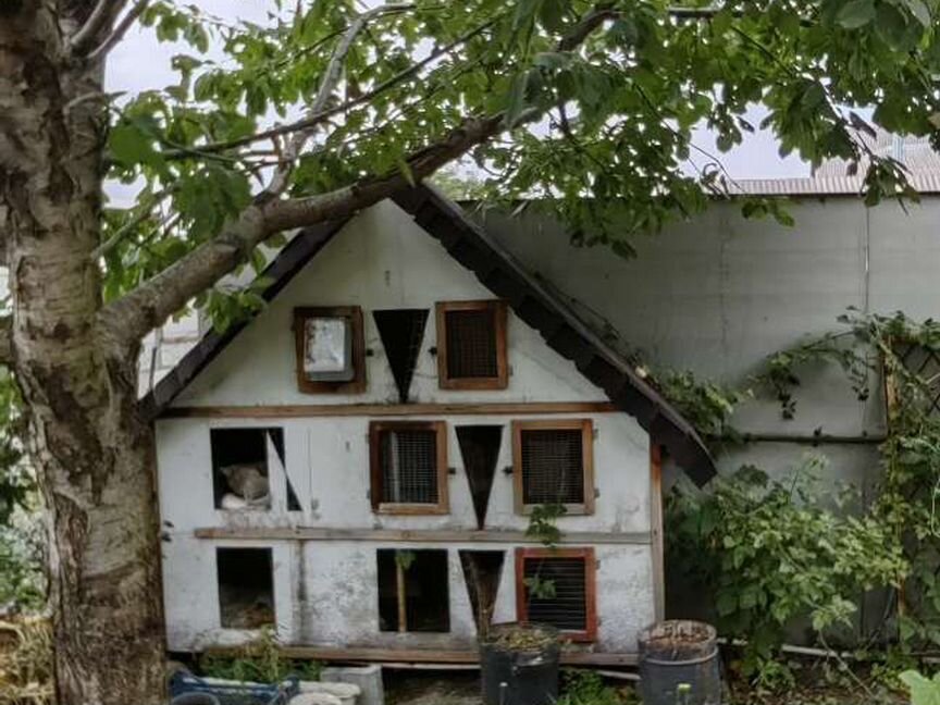 Крольчатник