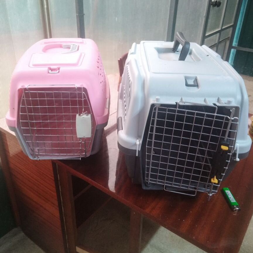 Переноска для животных пластиковая