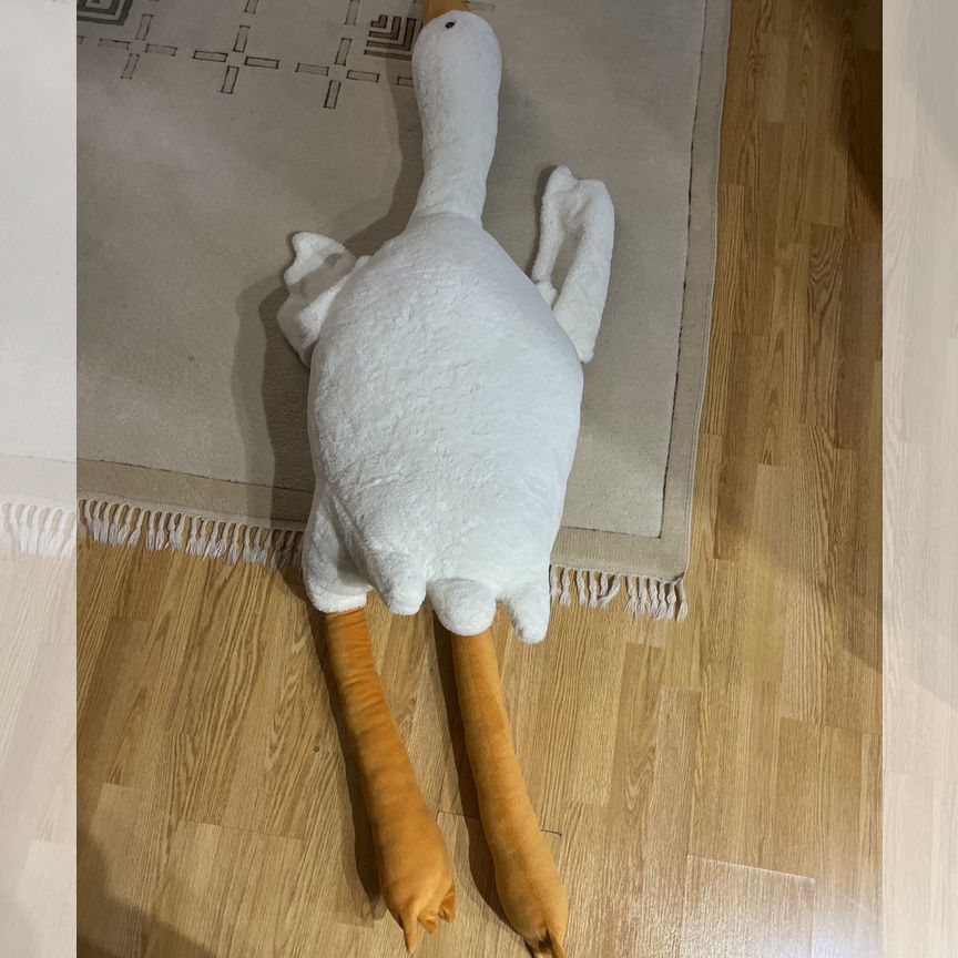 Гусь большой