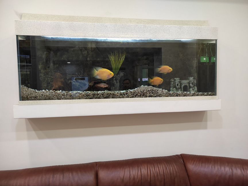 Аквариум 150 литров