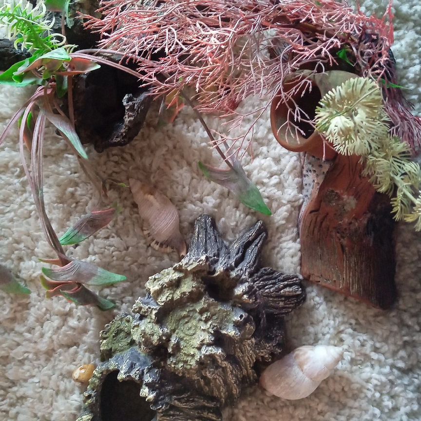 Декорации для аквариума