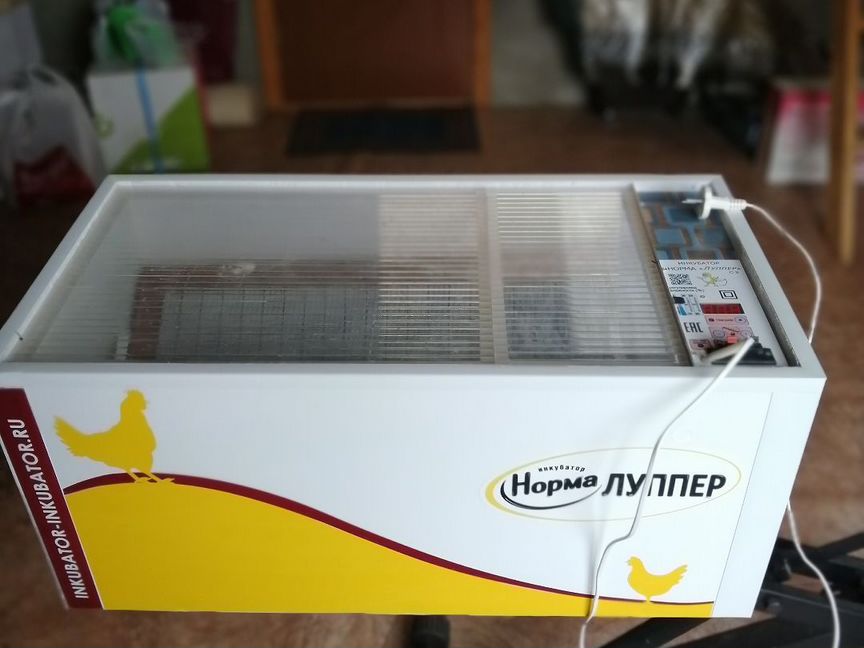 Инкубатор для яиц на 72 яйца