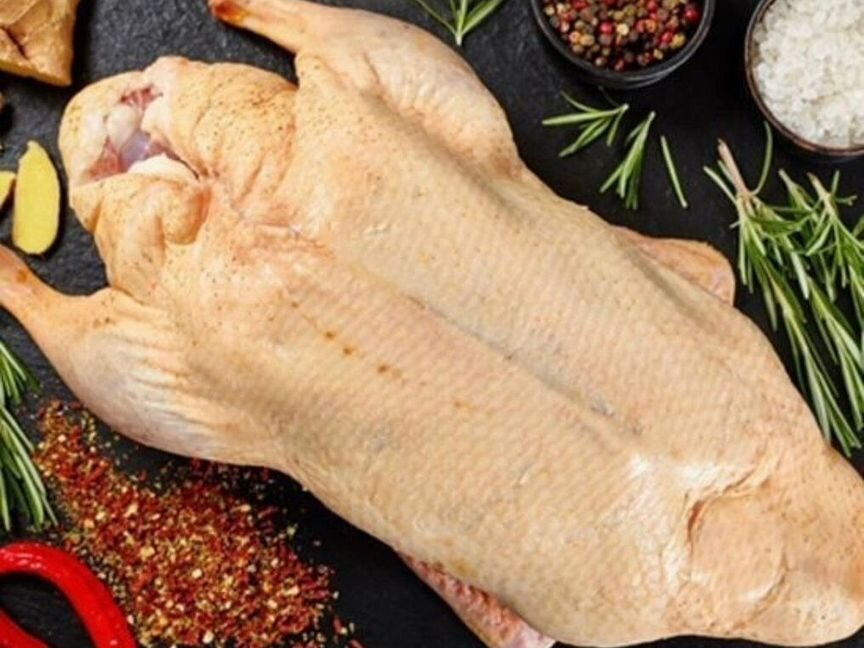 Продам гусей