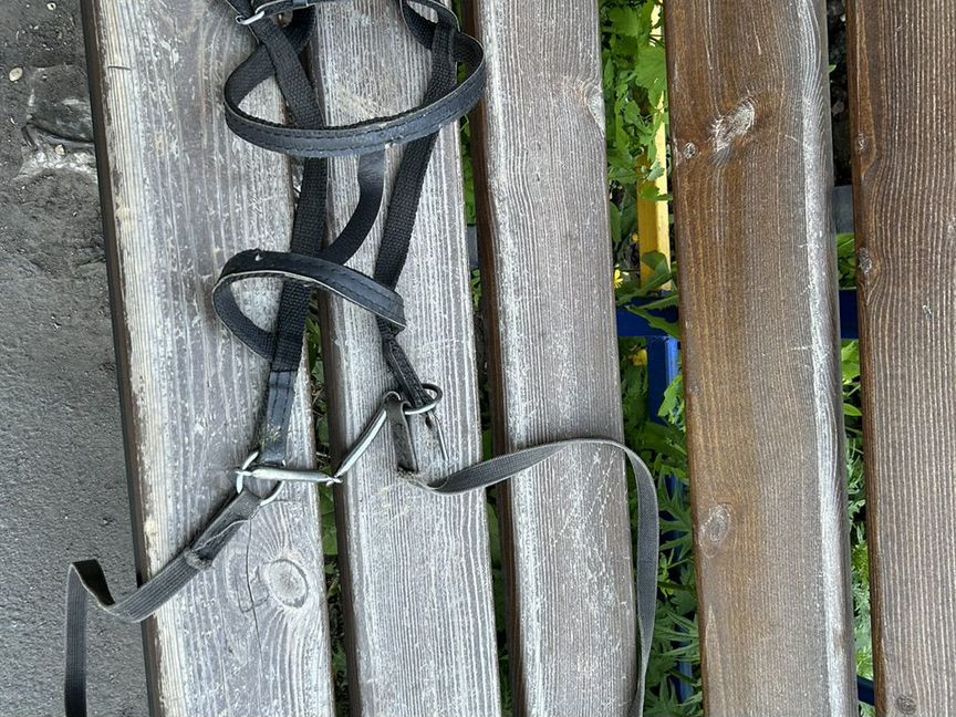 Уздечка для лошади