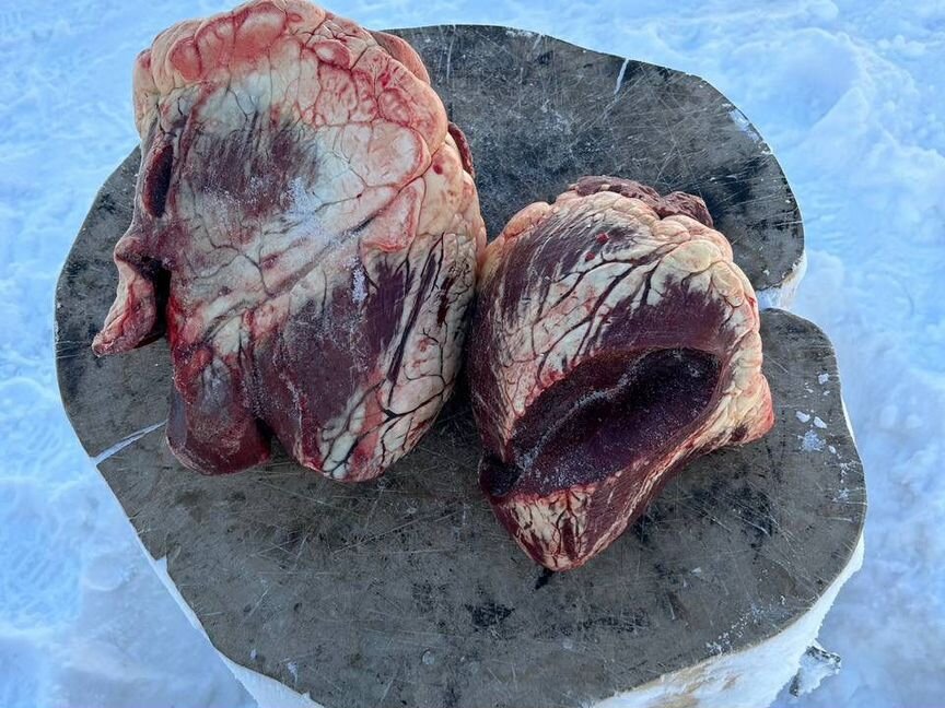 Субпродукты говяжьи