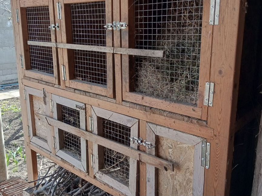 Клетка для кроликов с маточником