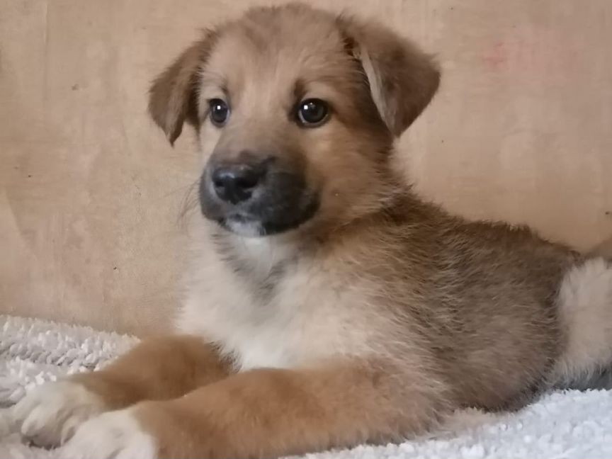 Мальчик 2 месяца