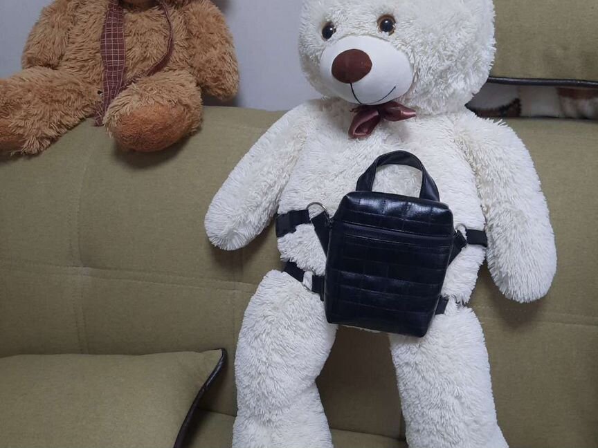 Сумка для дрессировки