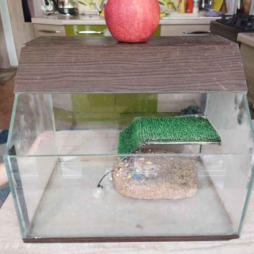 Террариум для водной черепахи