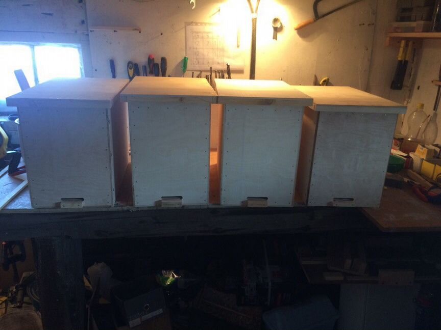 Ловушки для пчел