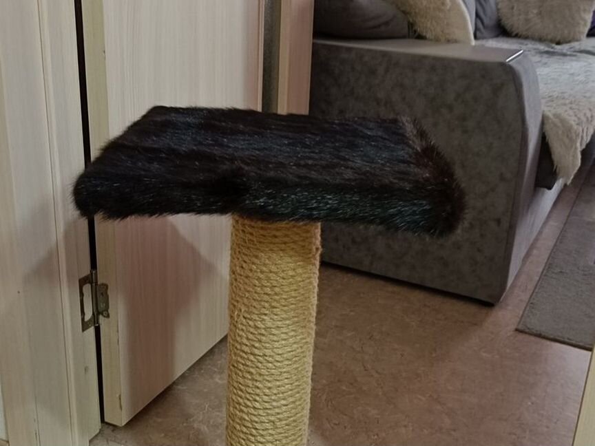 Когтеточка для кошек