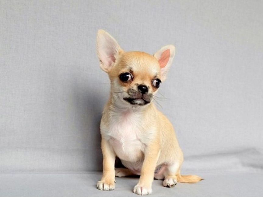 Малышка 3 месяца