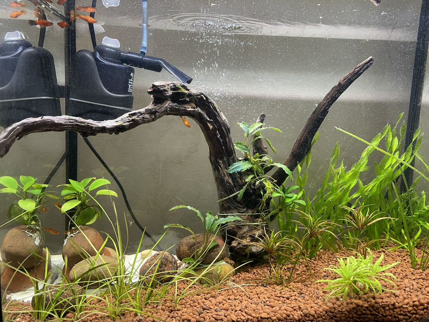 Продаю готовый аквариум