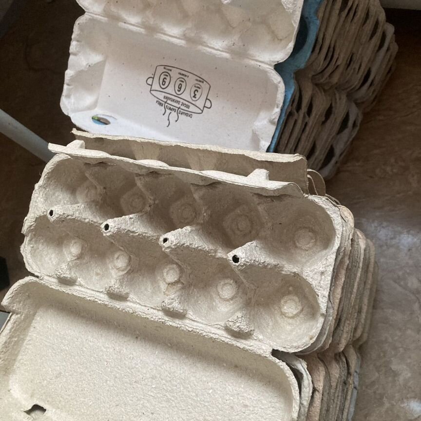 Яичные лотки