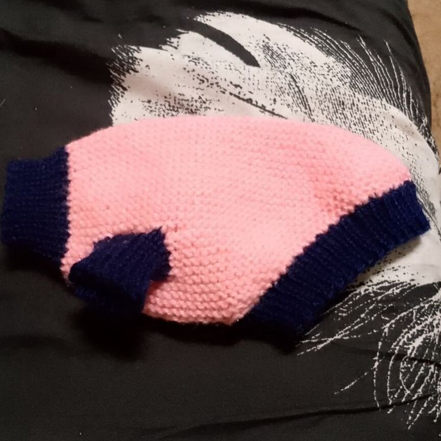 Свитер для собаки