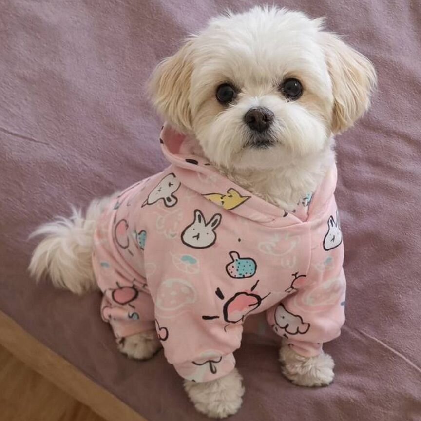 Одежда для собак мелких пород xl