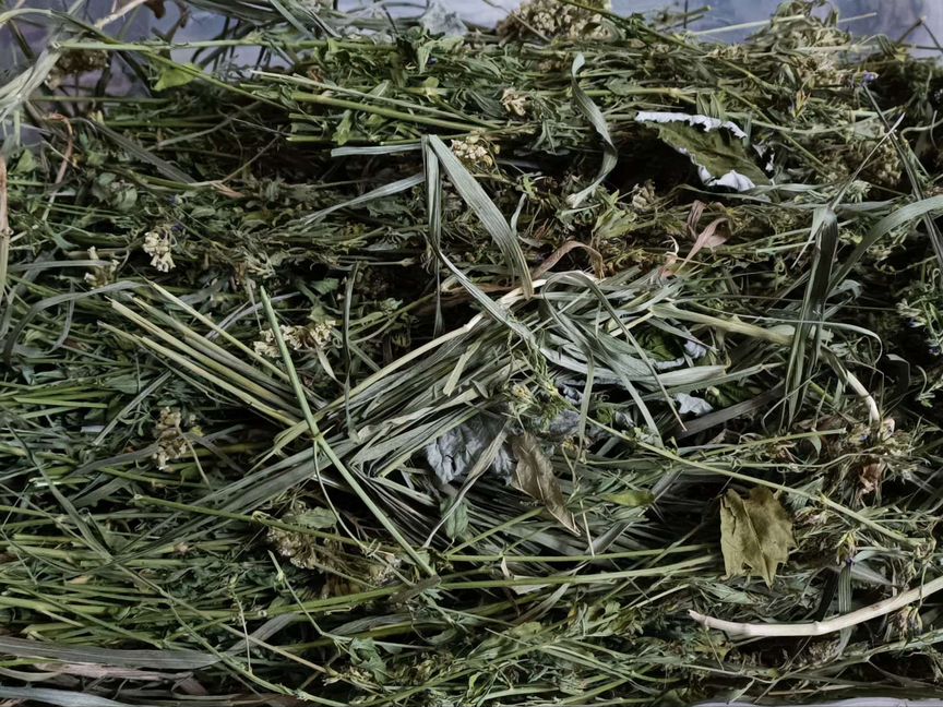 Сено, травы, ягоды