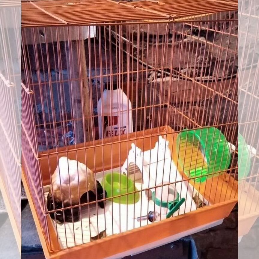 Клетка для хомяка с аксессуарами