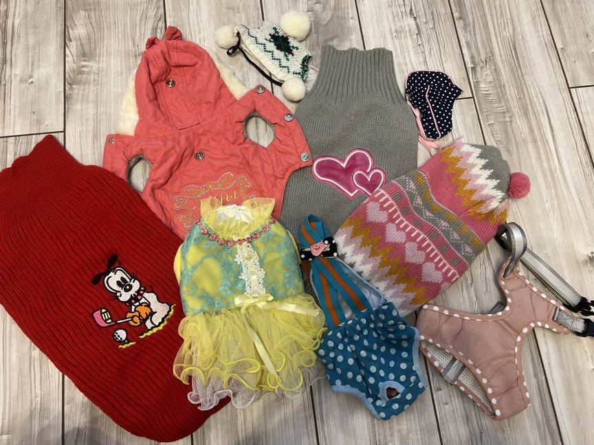 Одежда/игрушки для собак мелких/средних пород