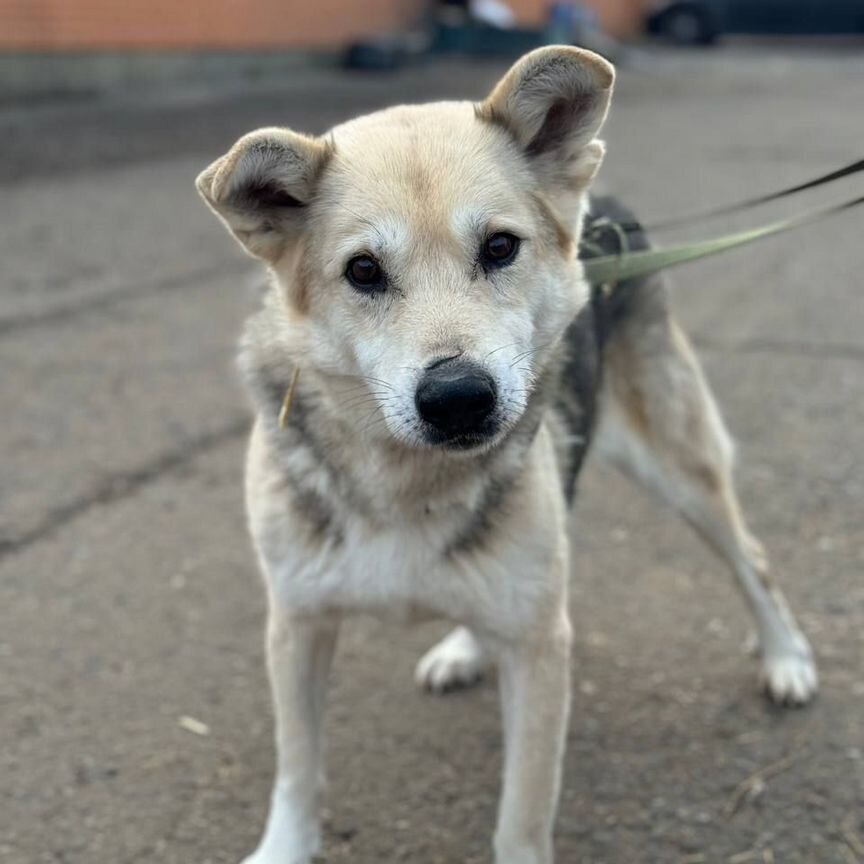 Дождется ли Тимур свою маму