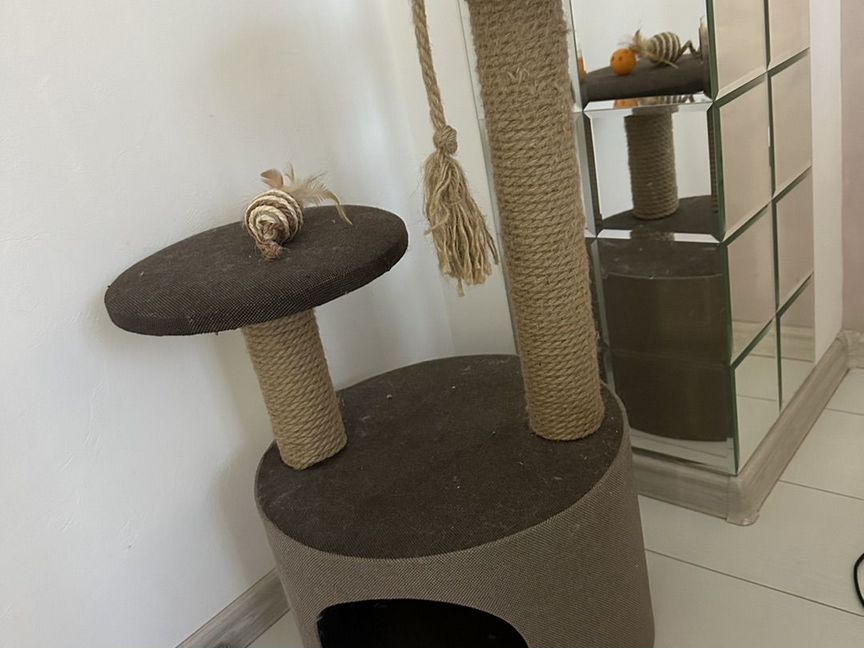 Когтеточка для кота бу