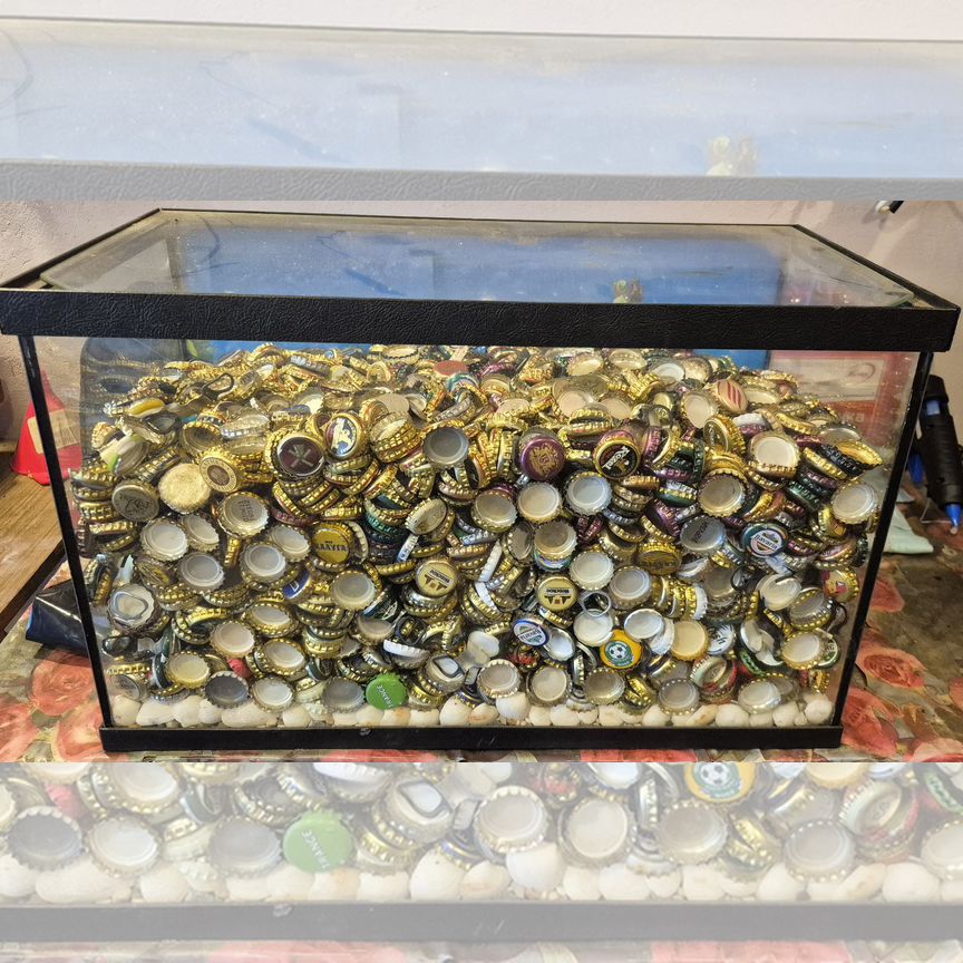 Аквариум с необычным наполнением