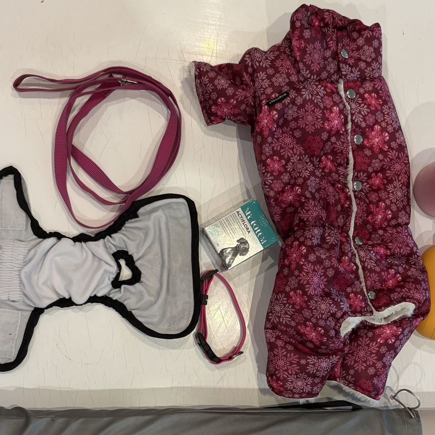 Вещи для животных