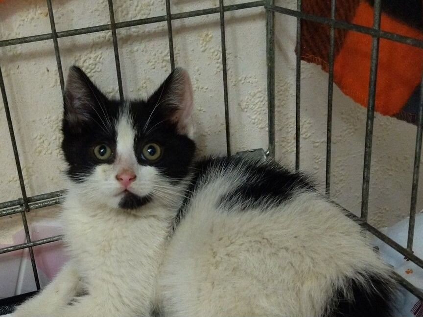 Малышу нужен дом