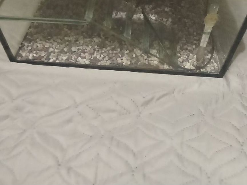 Аквариум для черепах