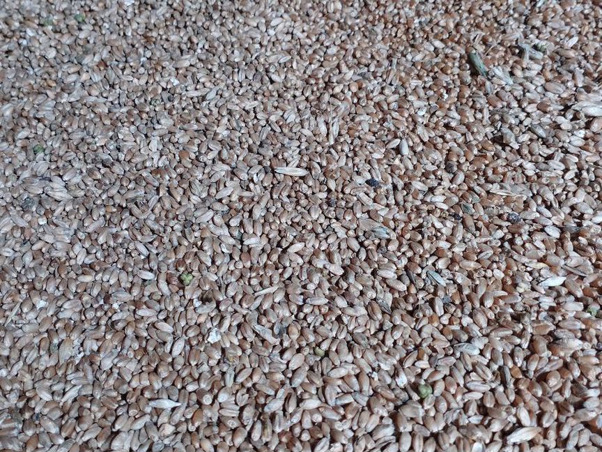 Пшеничные отходы