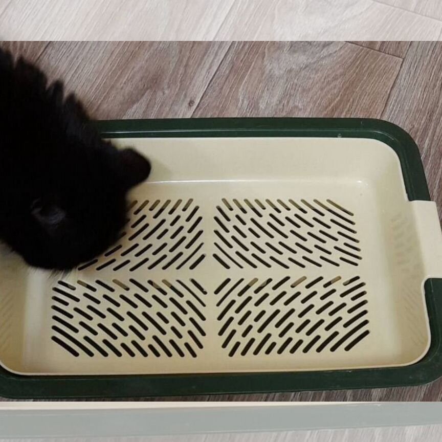 Лоток для кошек