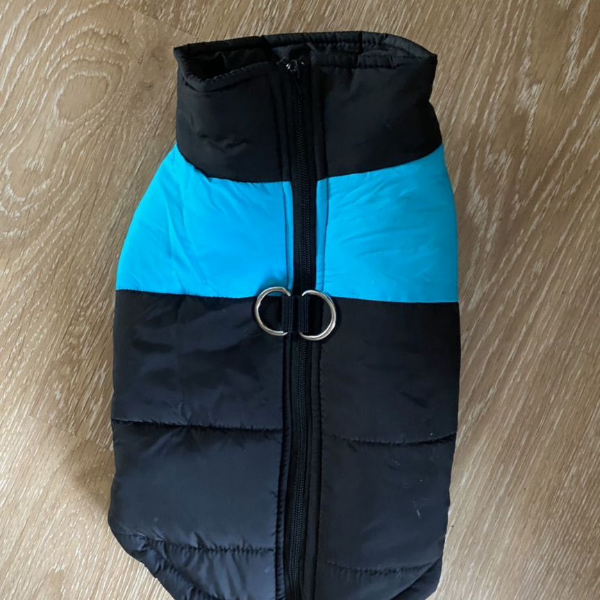 Одежда для собак