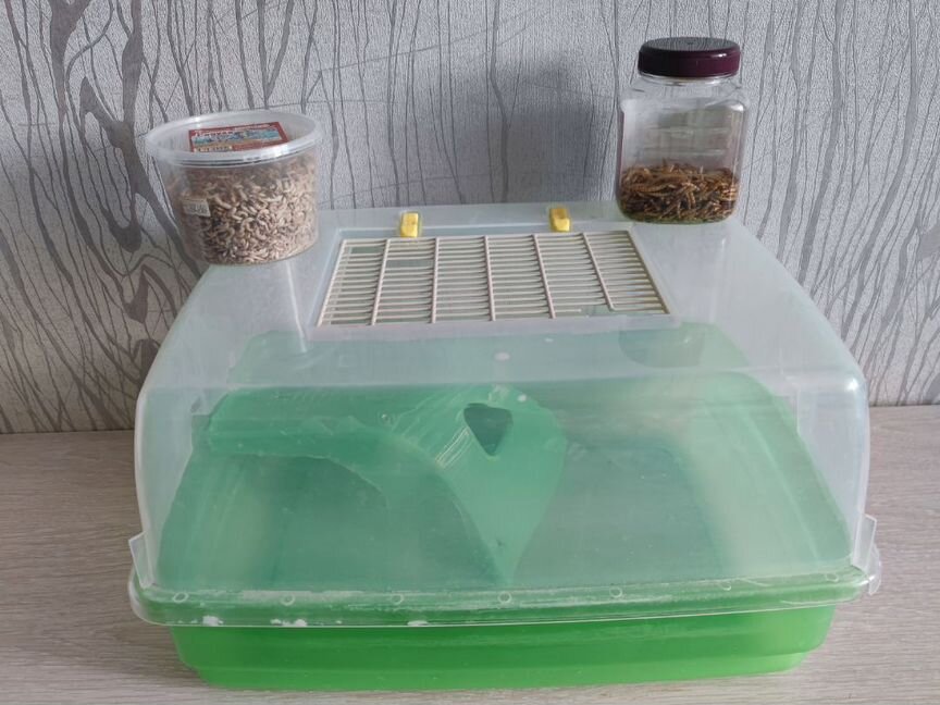 Аквариум для красноухой черепахи