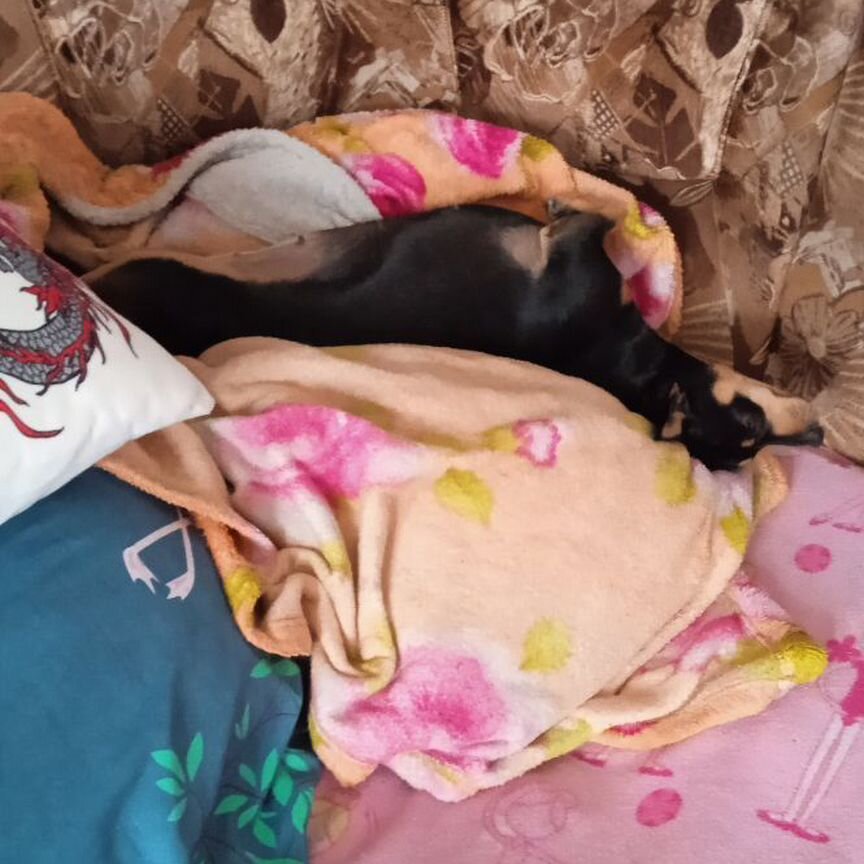 Девчуля ждёт принца