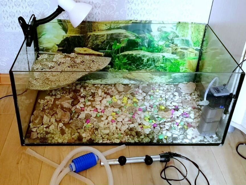 Аквариумы 100 и 40 литров