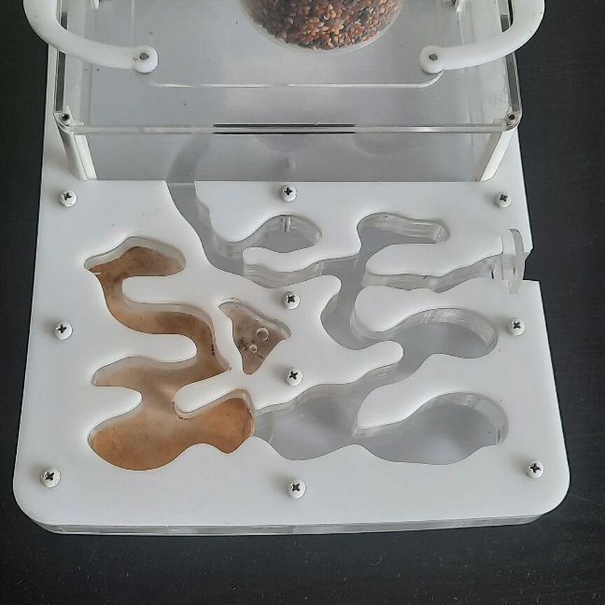 Формикарий