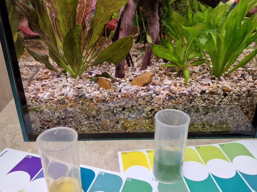 Тест аквариумной воды