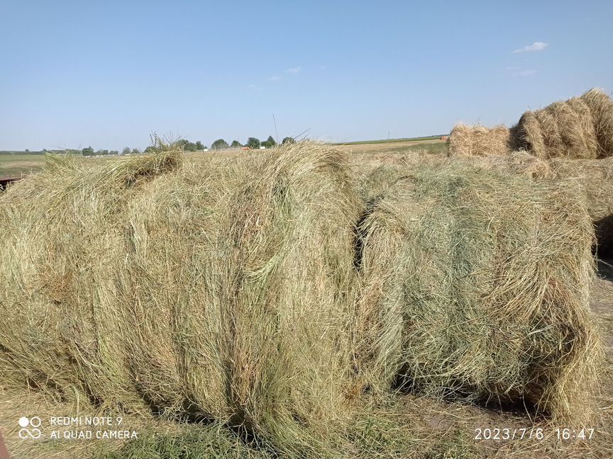 Сено в рулонах