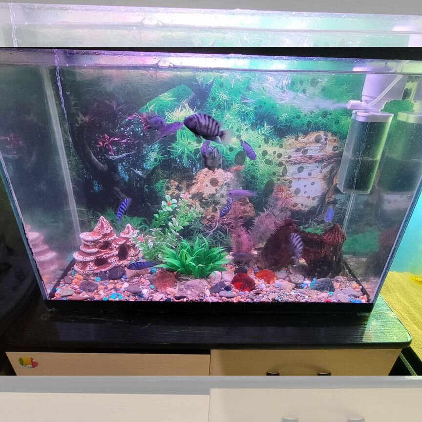 Аквариум с рыбками 100 литров