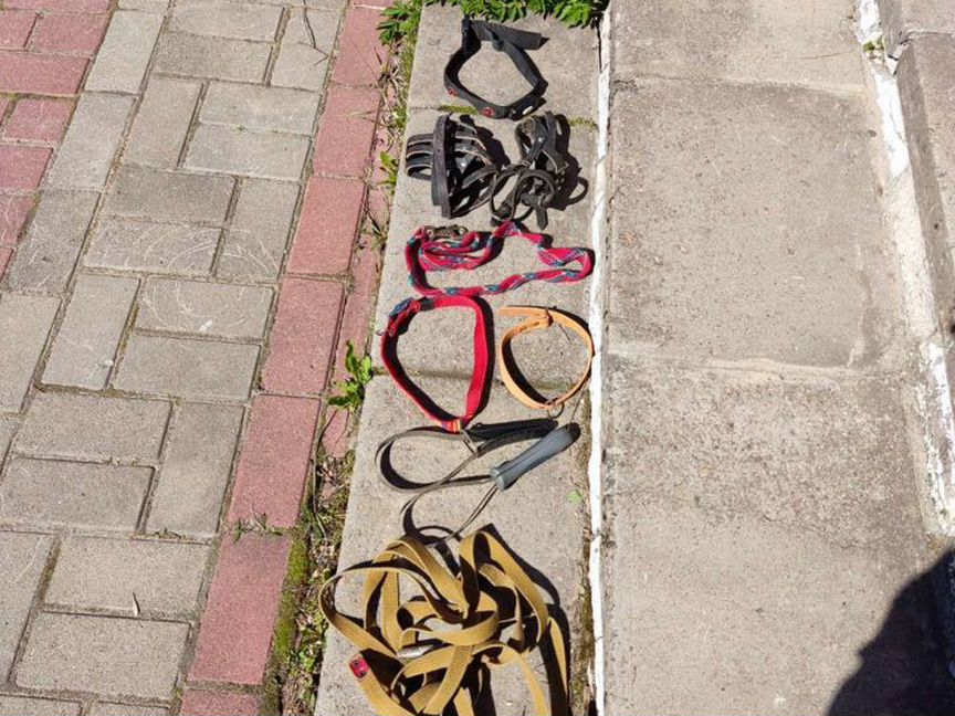 Ошейник,намордник, поводок